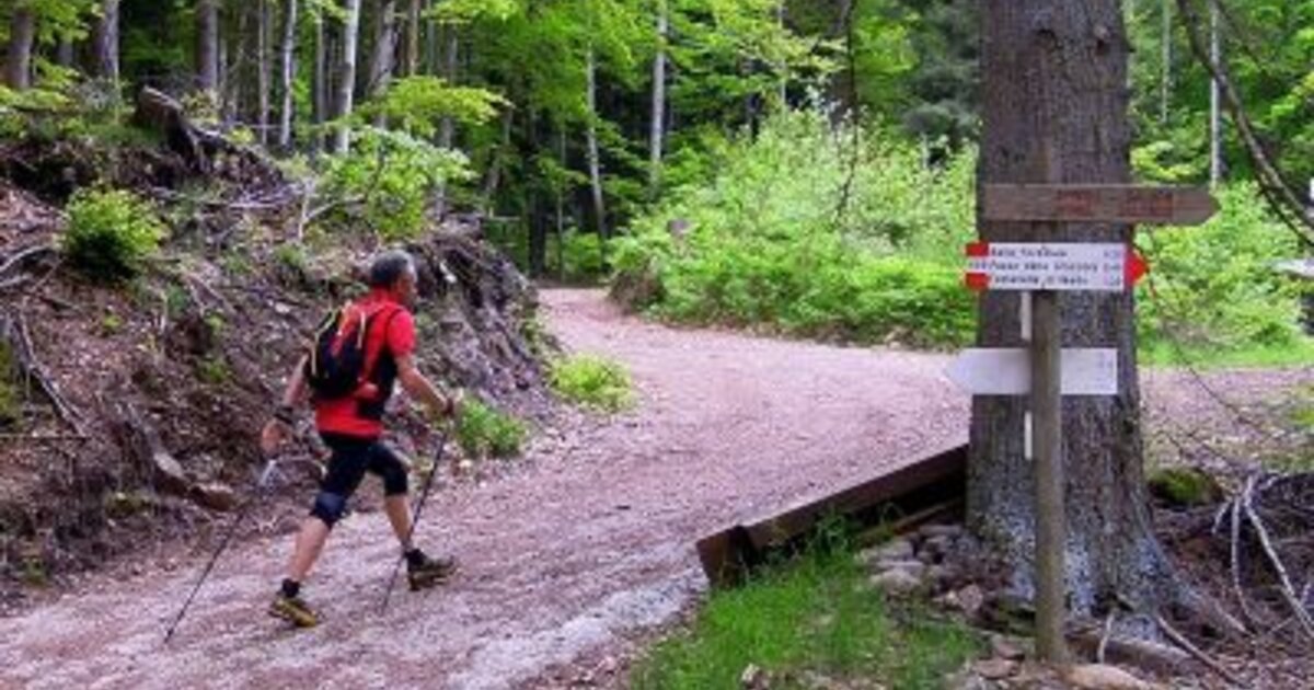 Giro del Monte Pincaldo di Faver - Fiemme