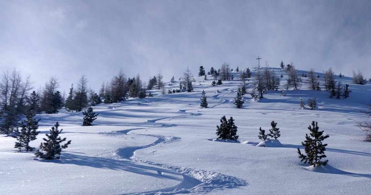 Monte Cogne - Fiemme