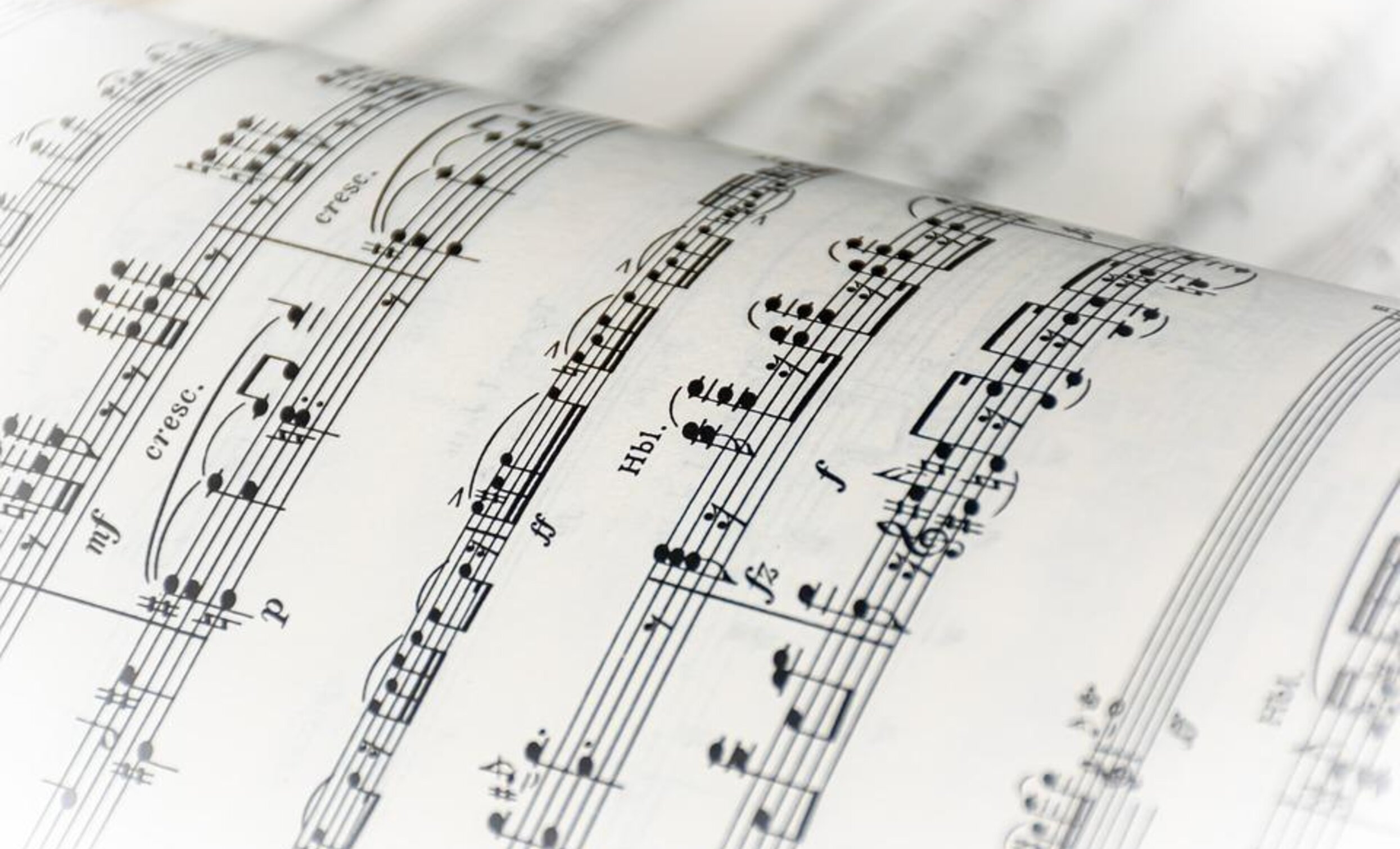 String concert - Fiemme