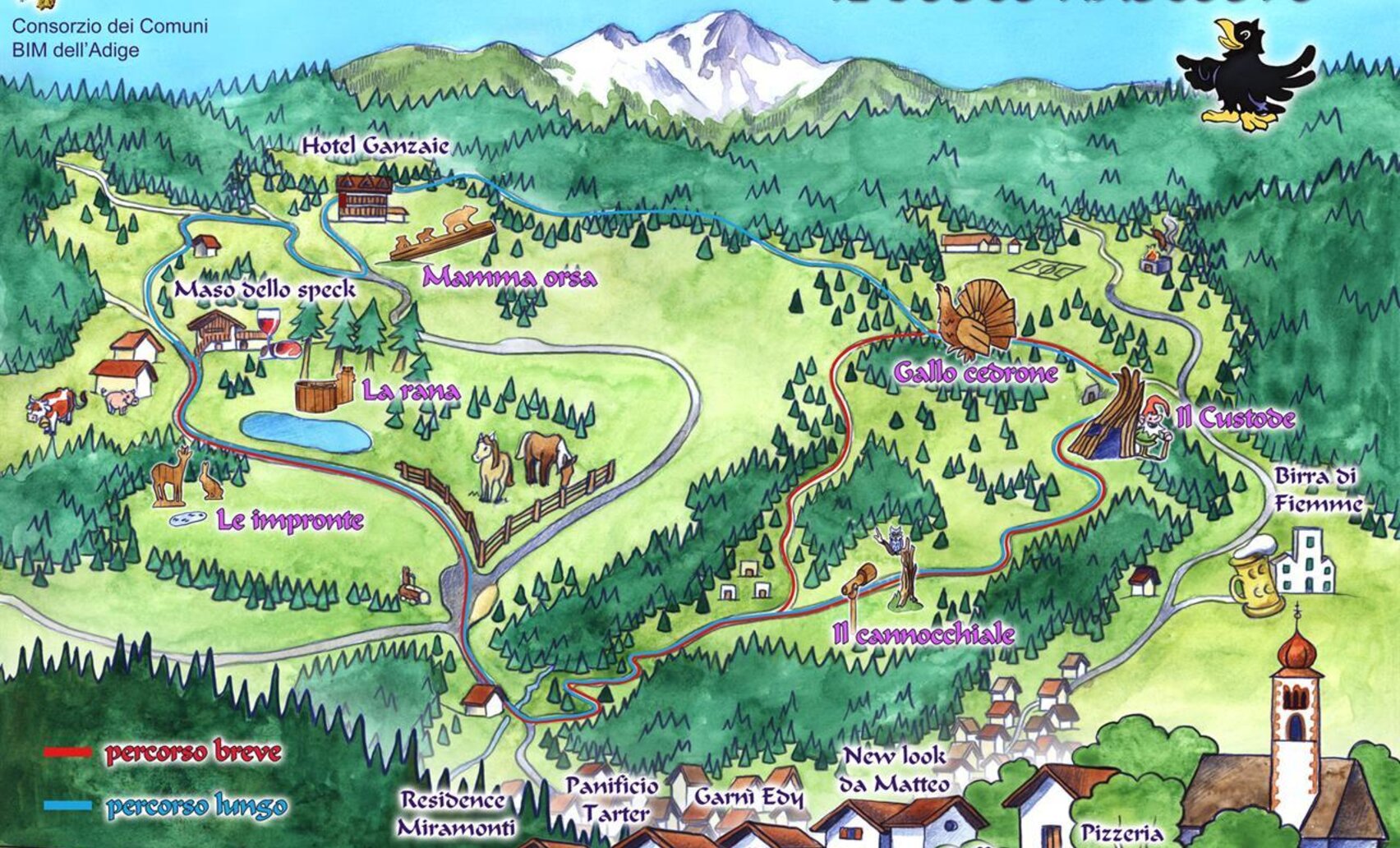 Playgrounds - Fiemme