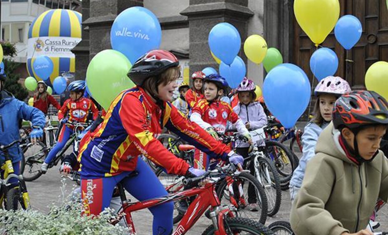 Noleggio bike Local Motion - Predazzo - Fiemme