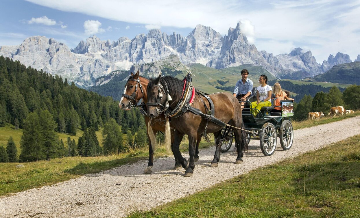 Malga Bocche - Fiemme