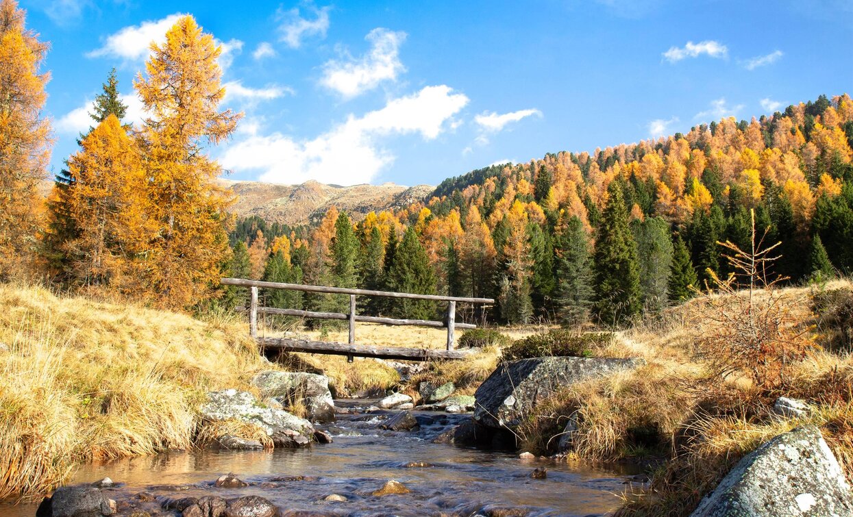 Parco Naturale di Paneveggio Pale di San Martino - Fiemme