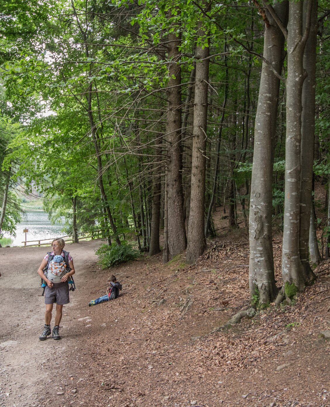 Val di Cembra, Trentino - Fiemme