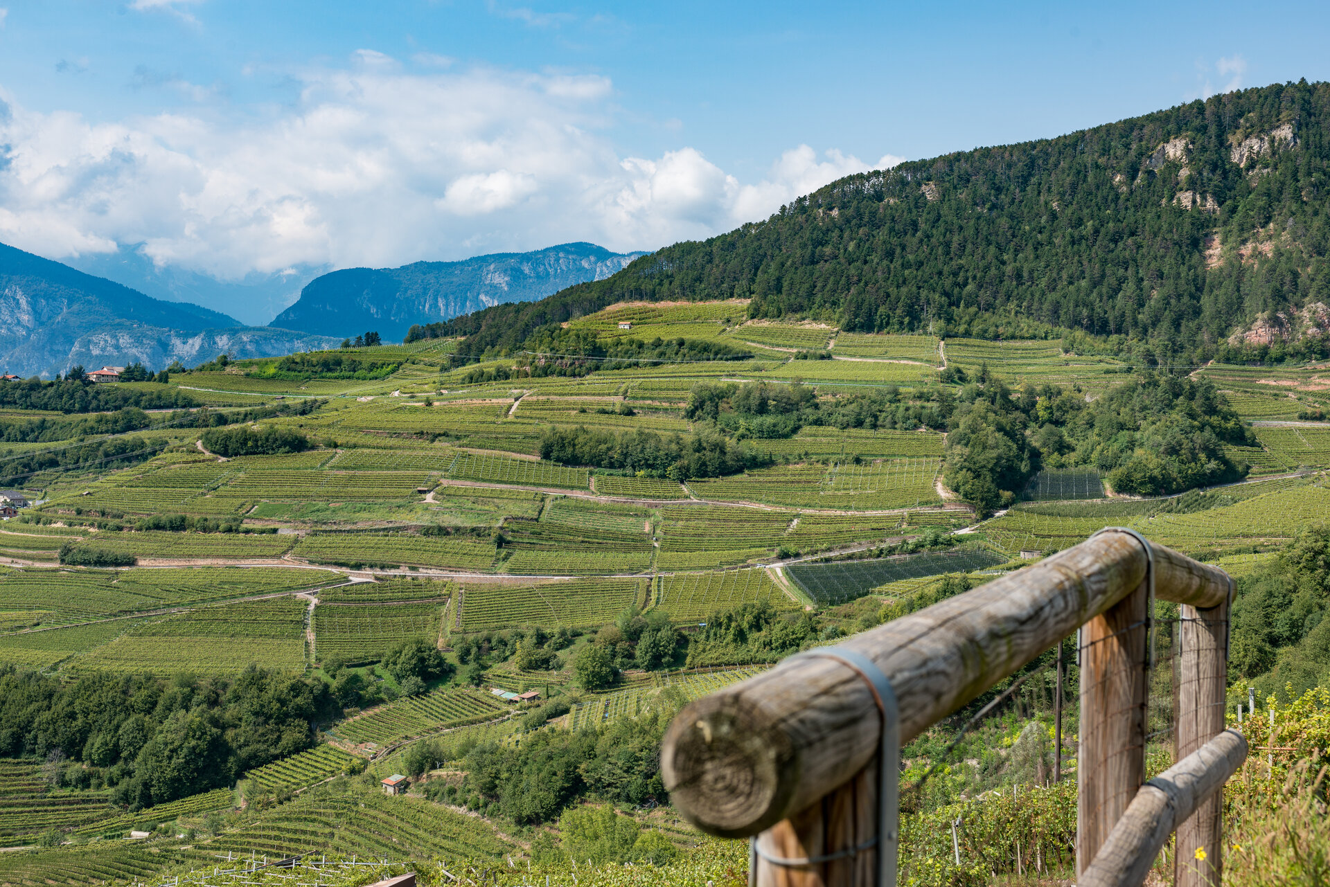 Benvenuto in Val di Cembra, Trentino - Fiemme