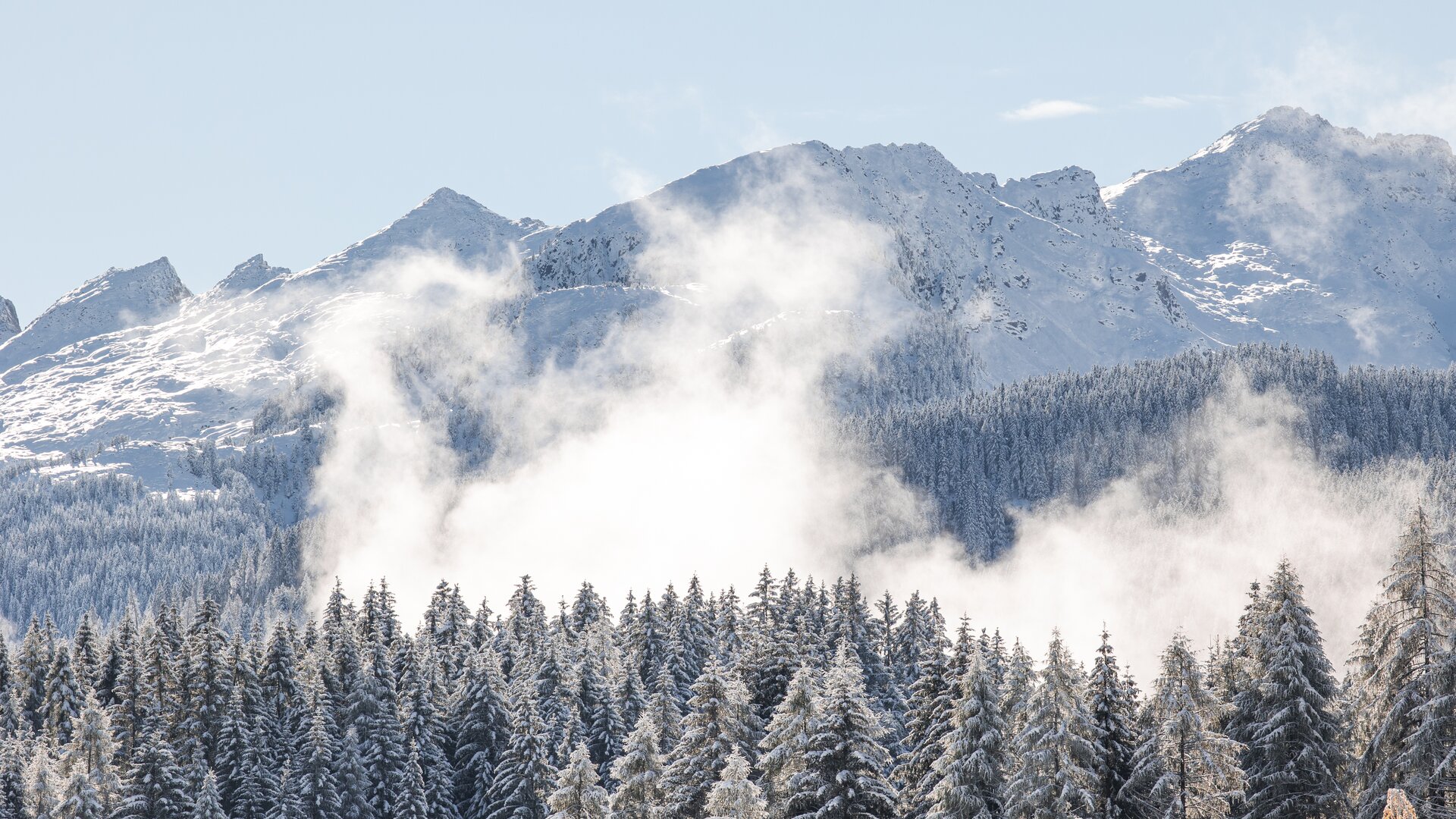 Organizzazione trasparente - Fiemme