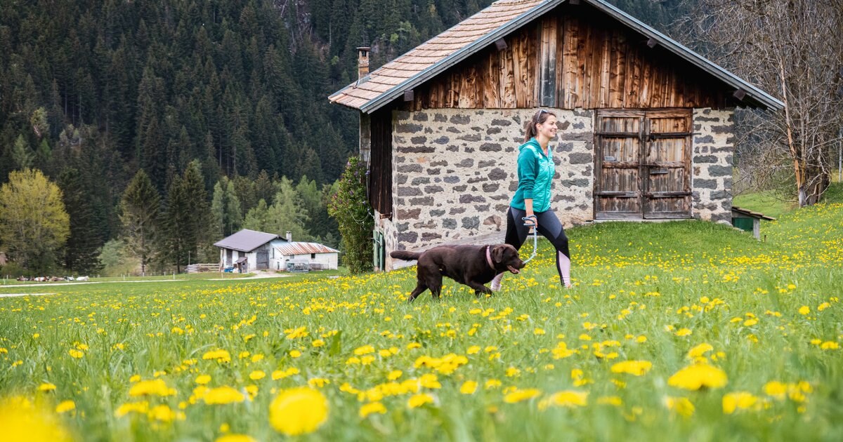 Il gusto nella natura - Fiemme