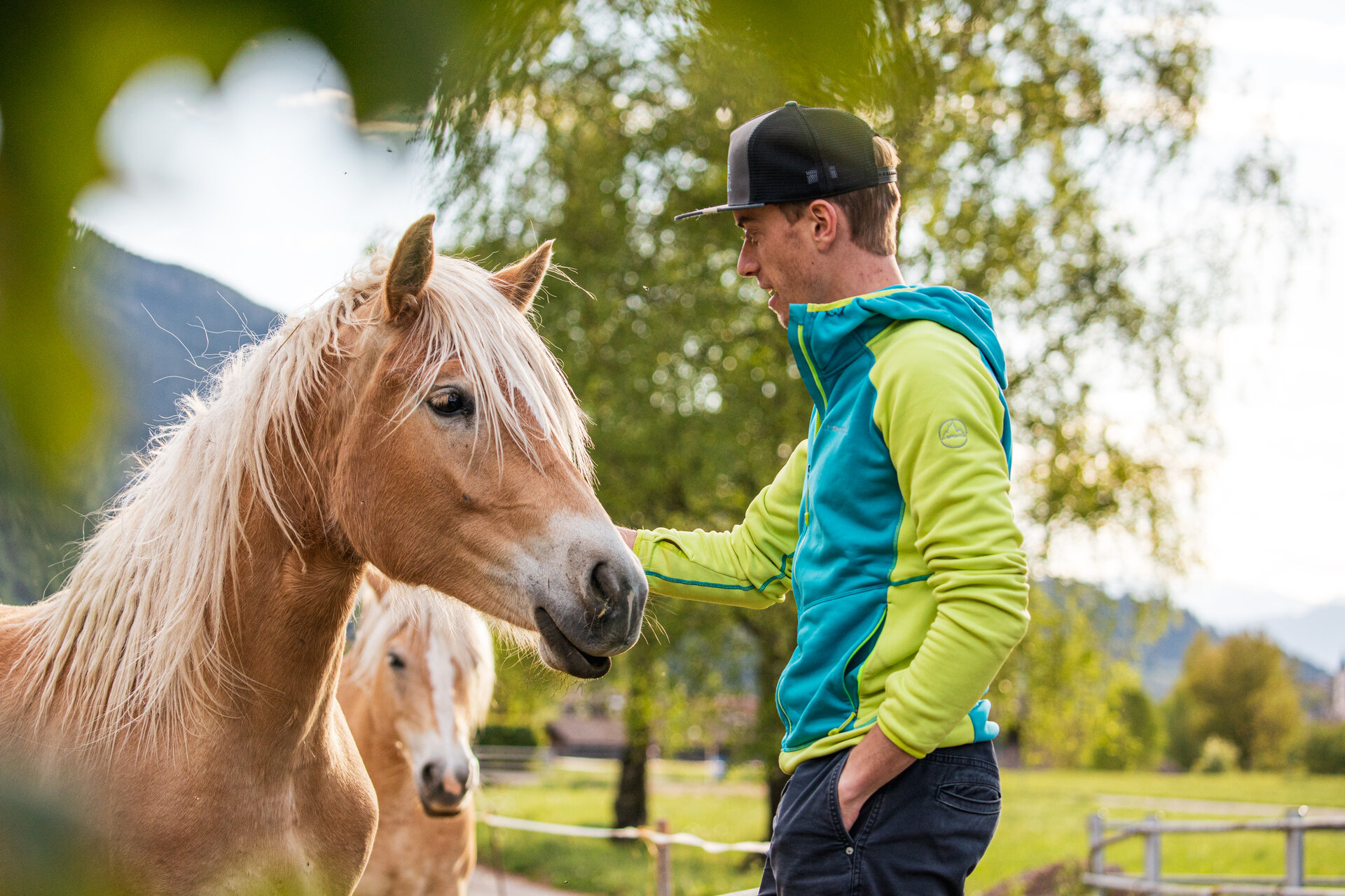 Itinerari consigliati in primavera - Fiemme
